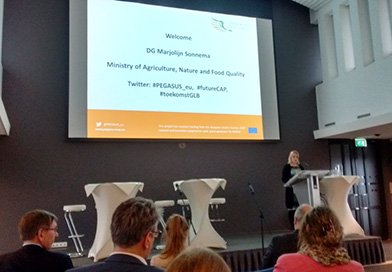 Chris Short presents PEGASUS toolkit at The Hague - Countryside and Community Research Institute