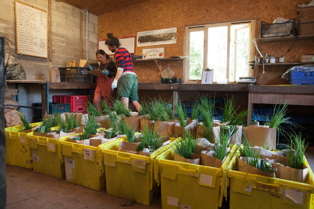 Research into rural microbusinesses - Countryside and Community ...